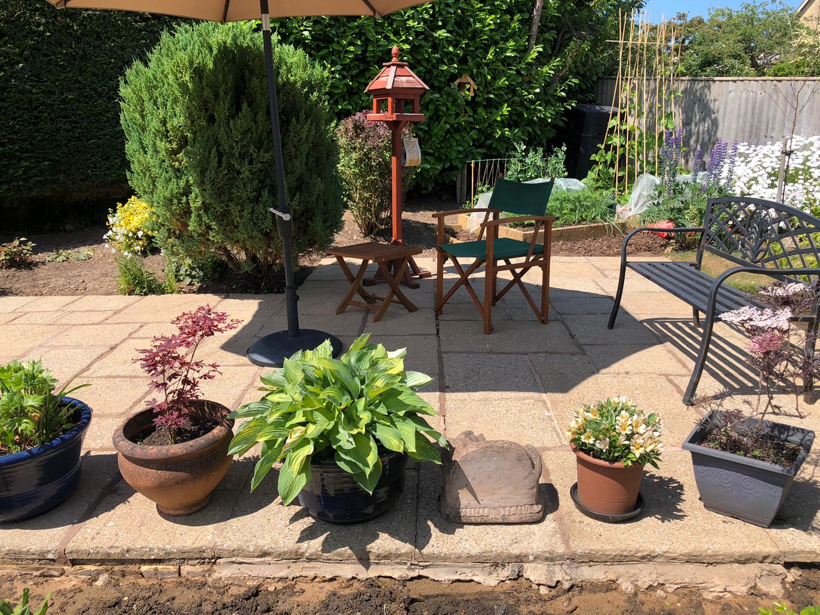 Dirty and Slippery Moss Filled Patio? - Cannins Ltd